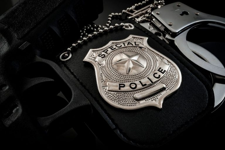 What Are the Different Types of Police Badges? - eLawTalk