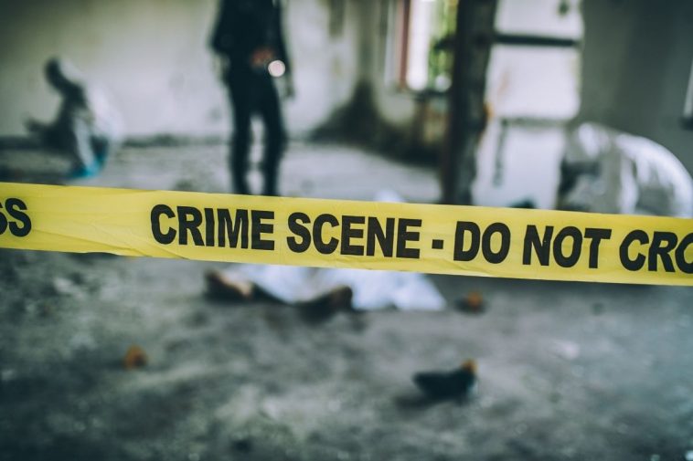 How to Become a CSI (Steps and Requirements by State) - eLawTalk