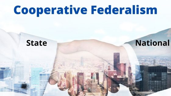 12 Different Types of Federalism (with Examples and Pros & Cons)